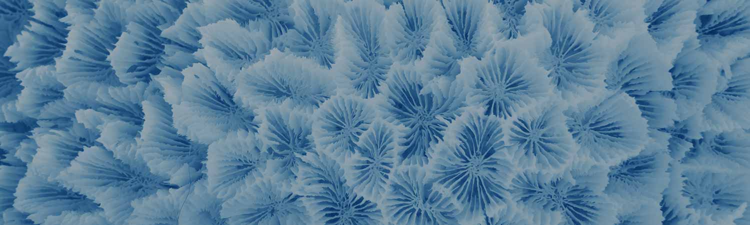 Website Packages - Bright Space Creative